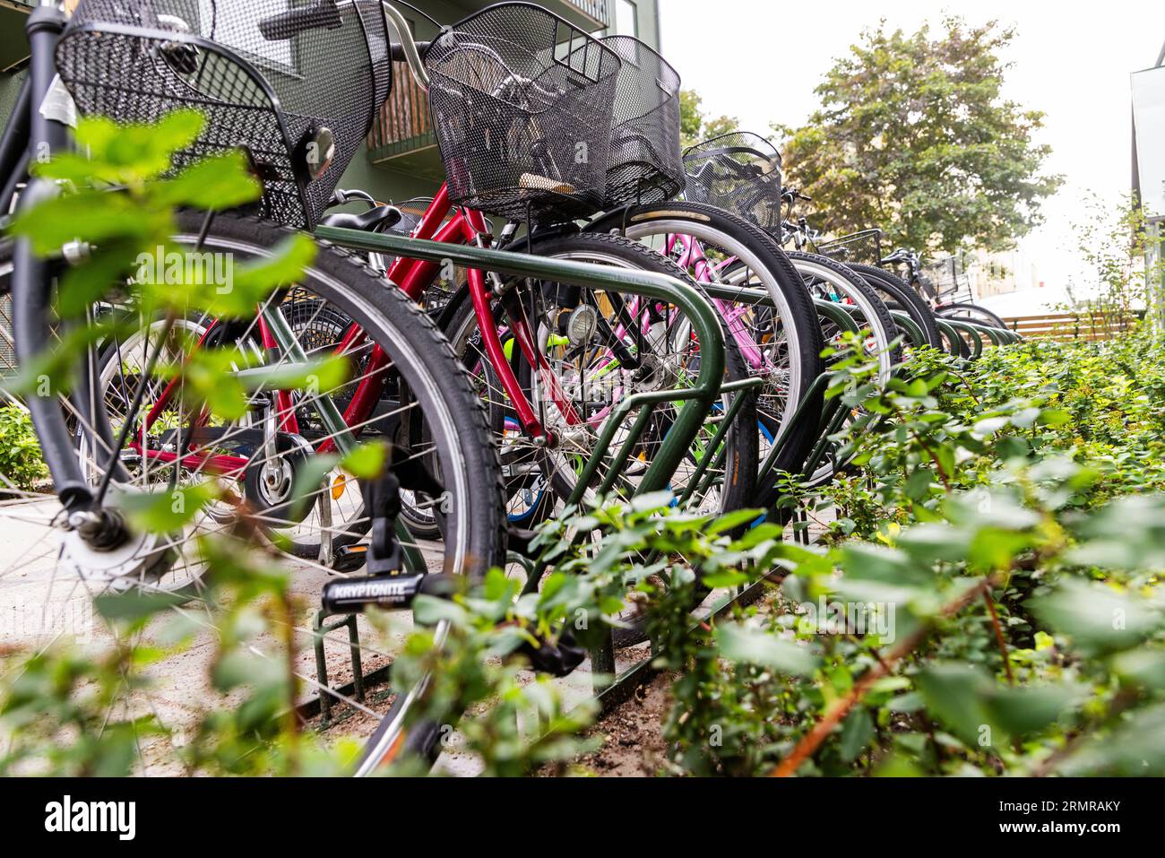 A bicycle parking lot Stock Photo - Alamy