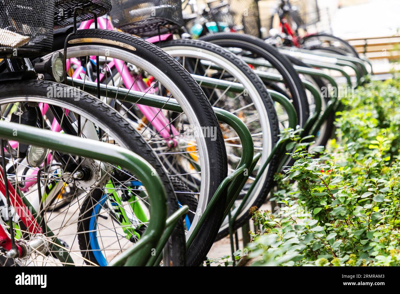 A bicycle parking lot Stock Photo - Alamy