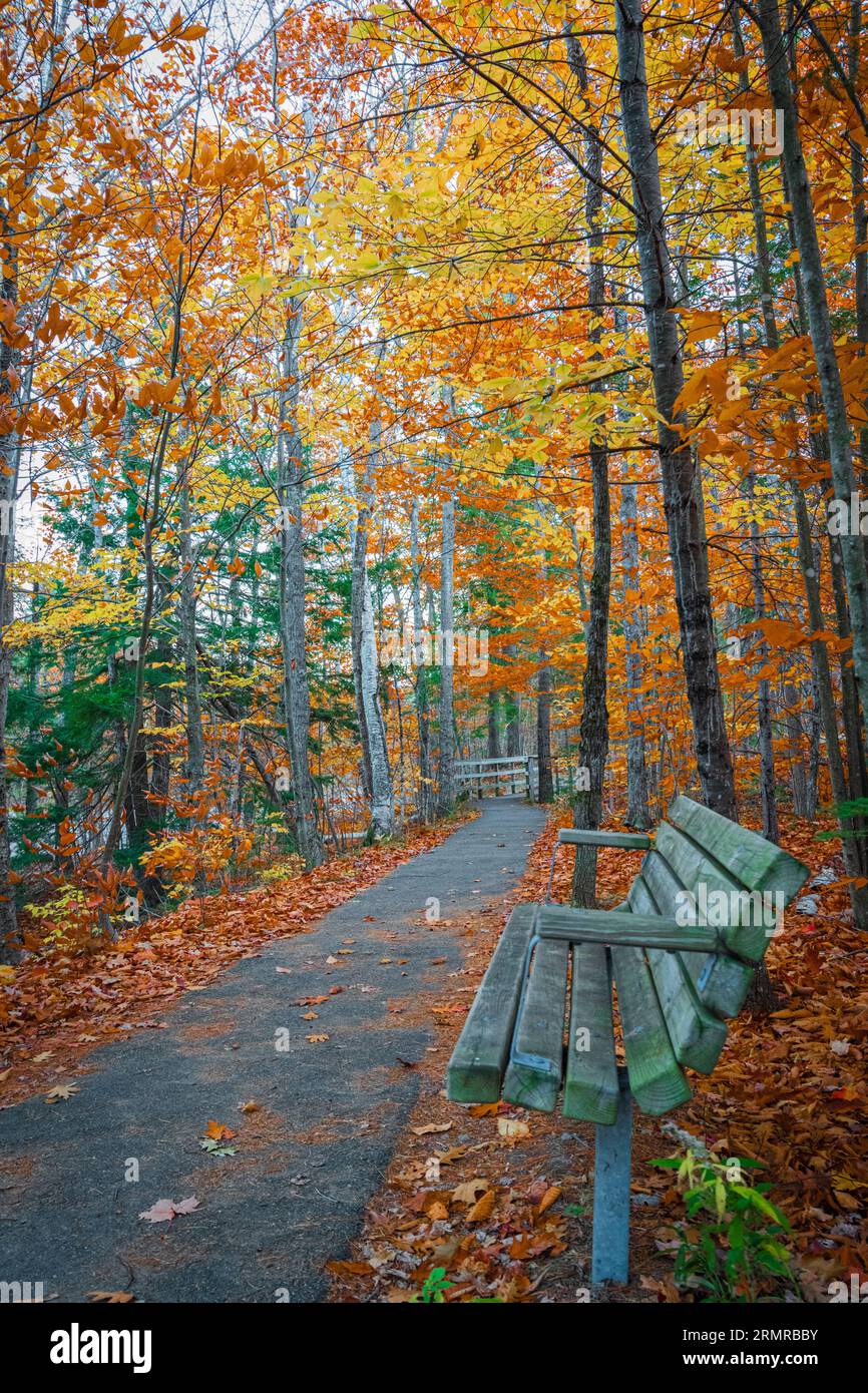 Bench on path in White Mountain Forest Park, near the Albony Bridge ...