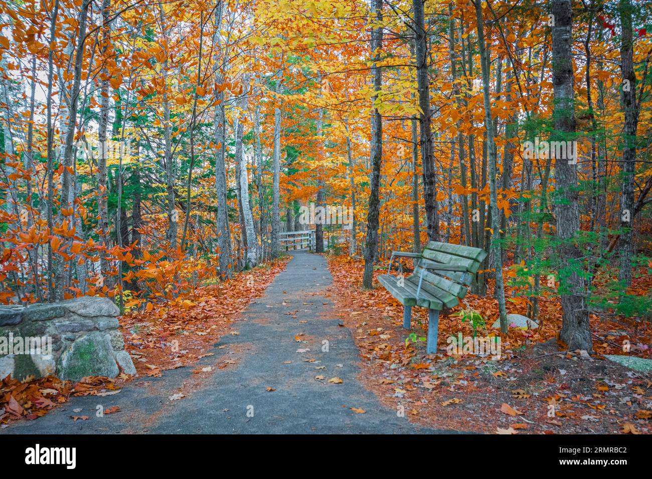 Bench on path in White Mountain Forest Park, near the Albony Bridge ...