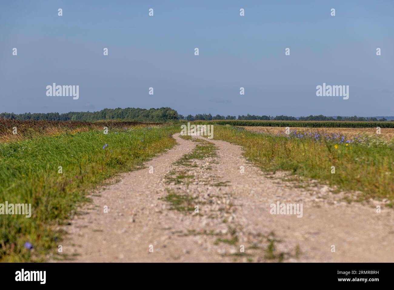 Empty field in rural areas hi-res stock photography and images - Alamy
