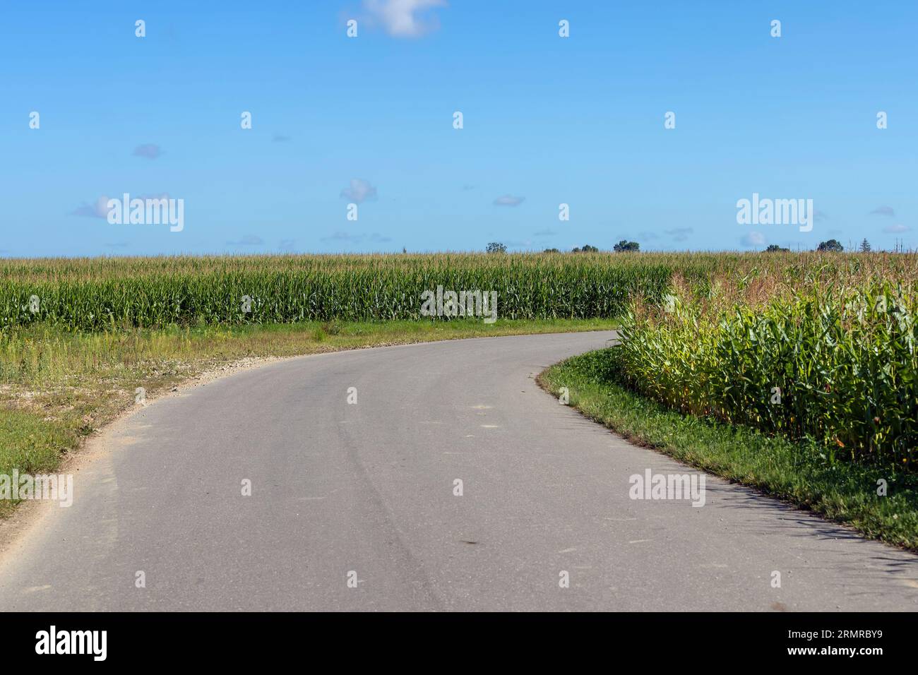 Paved highway in rural areas, part of a simple road in rural areas with ...