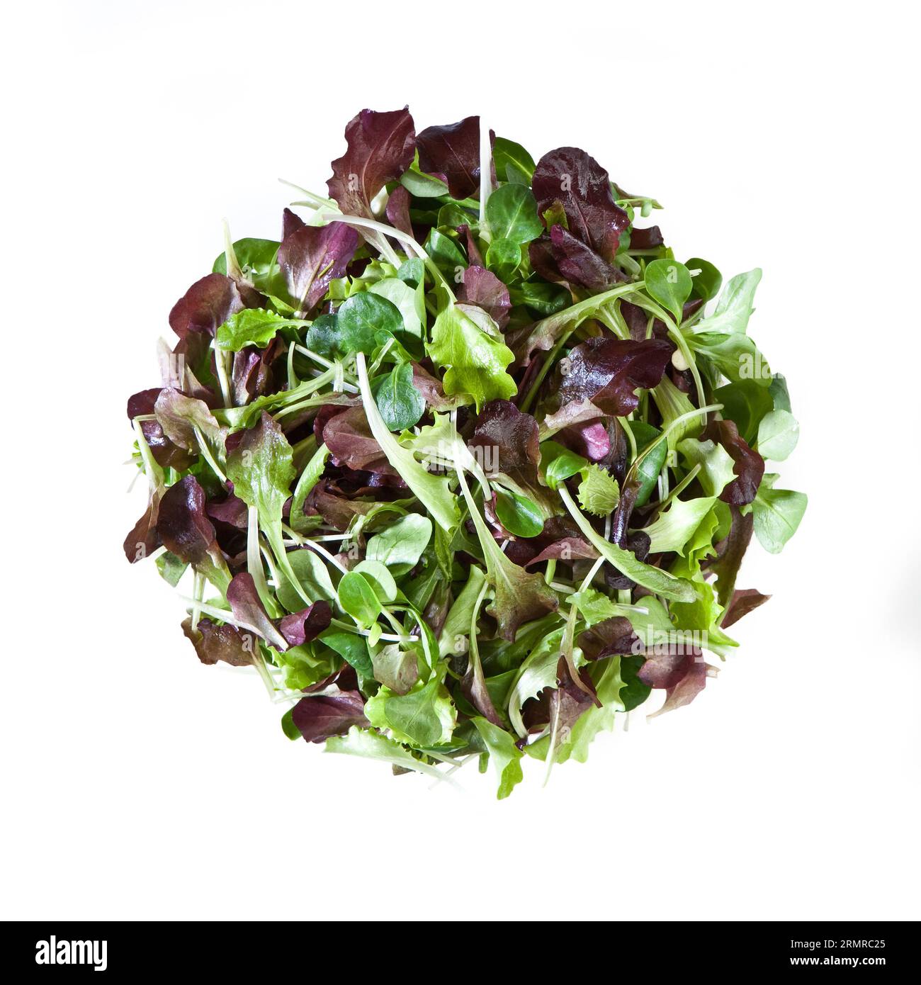Mache lettuce hi-res stock photography and images - Alamy