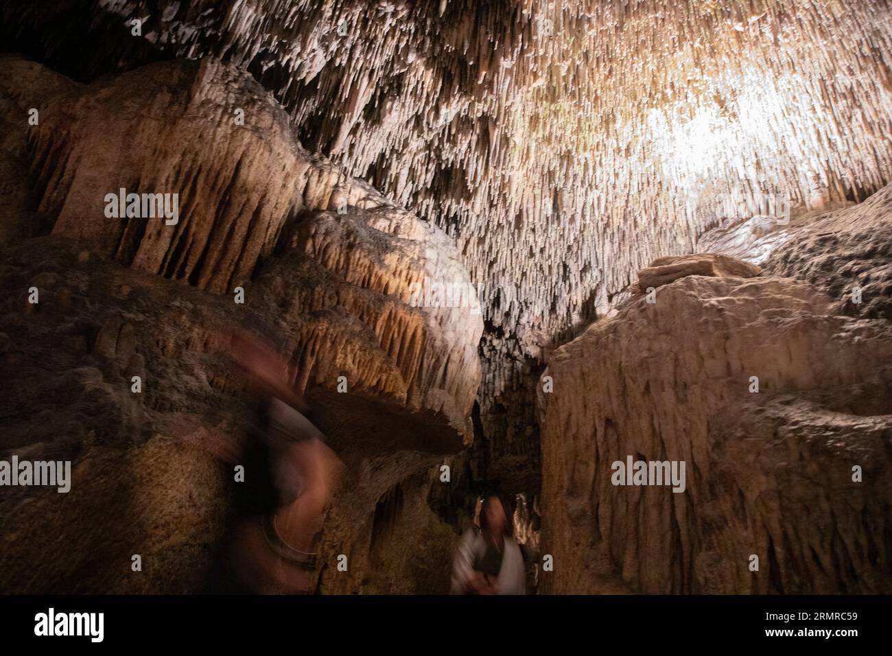 Manacor, Spain. 28th Aug, 2023. Visitors to the Dragon Caves in Porto ...