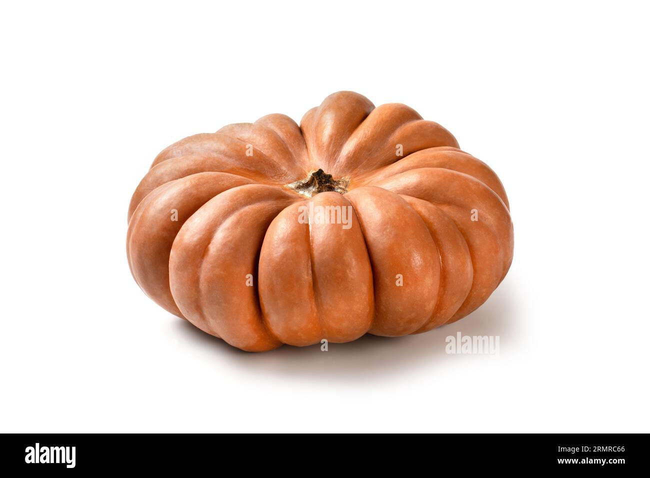 Pumpkin or Butternut squash isolated on white background Stock Photo ...
