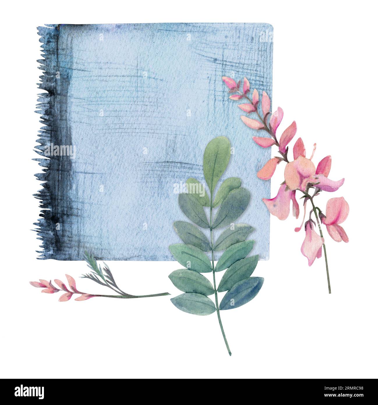 Hand drawn watercolor indigo coloring natural plant dye and materials ...