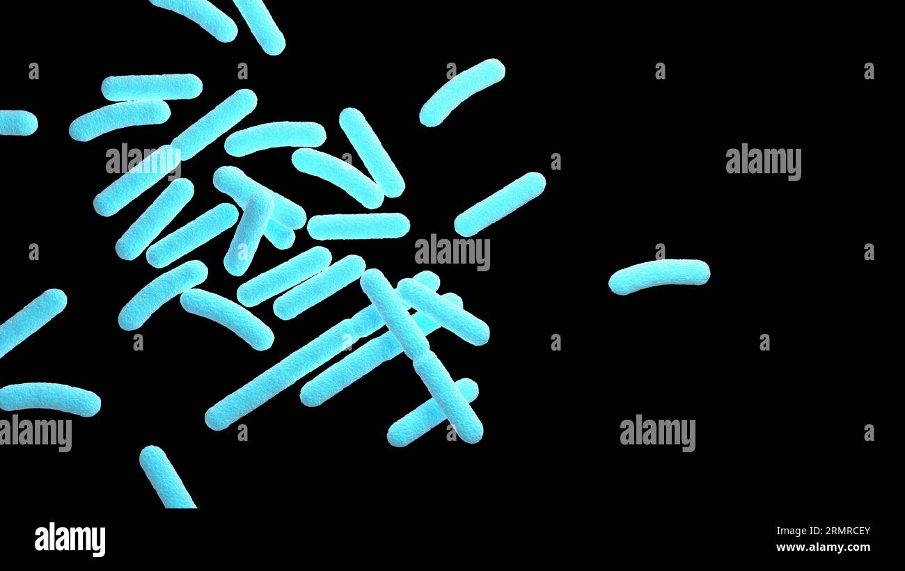 Bacteria. Isolated. Prokaryotic microorganisms. Blue and black color ...