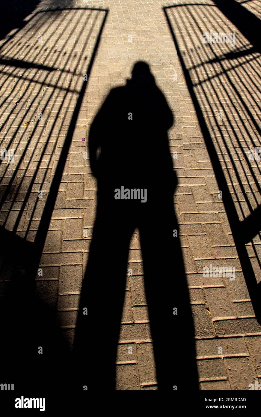 Person holding phone silhouette hi-res stock photography and images - Alamy
