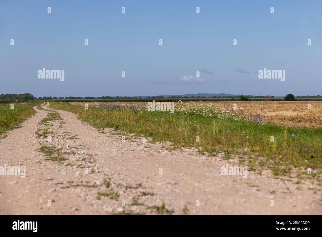 Unpaved highway in rural areas, part of a simple road in rural areas ...