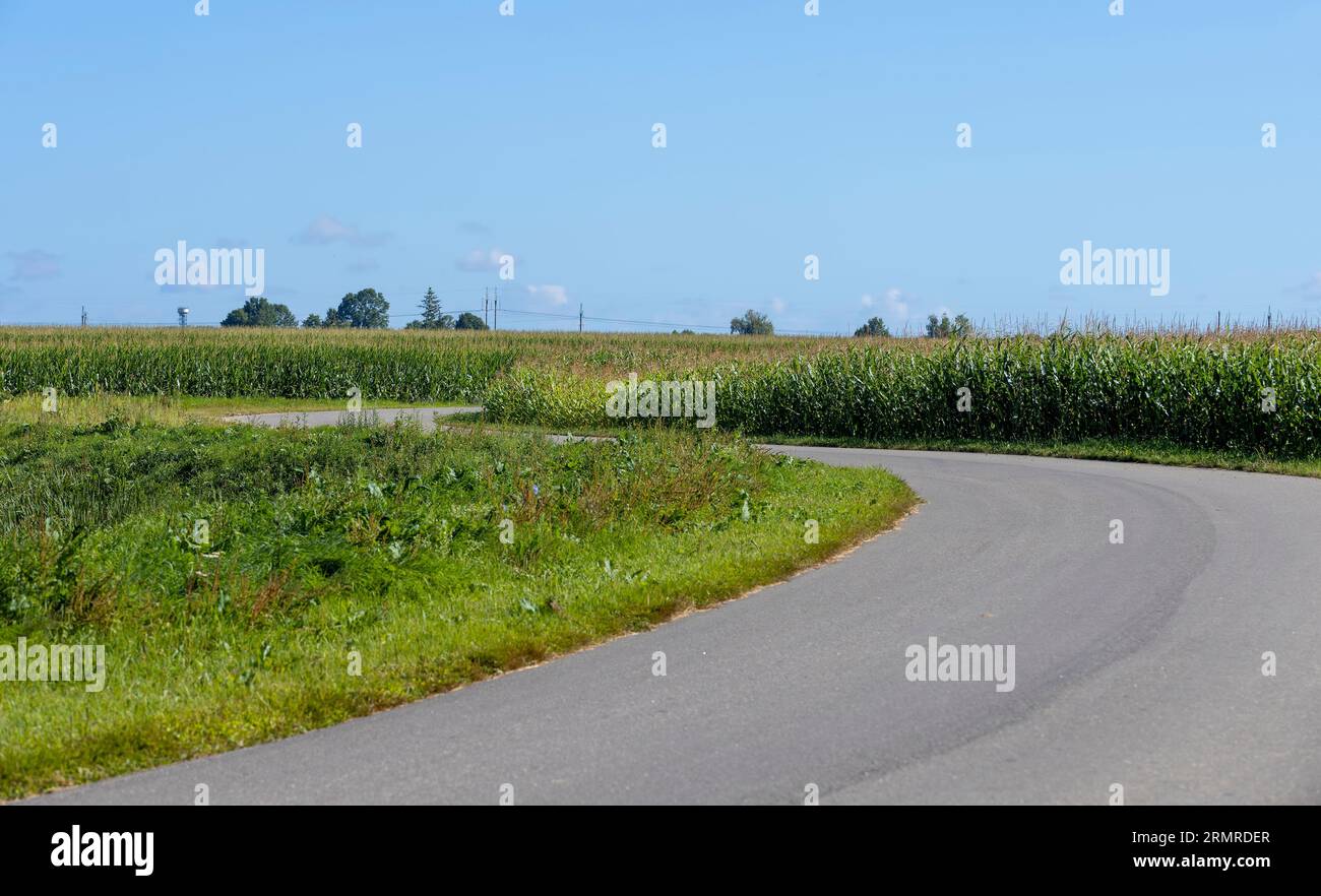 Paved highway in rural areas, part of a simple road in rural areas with ...