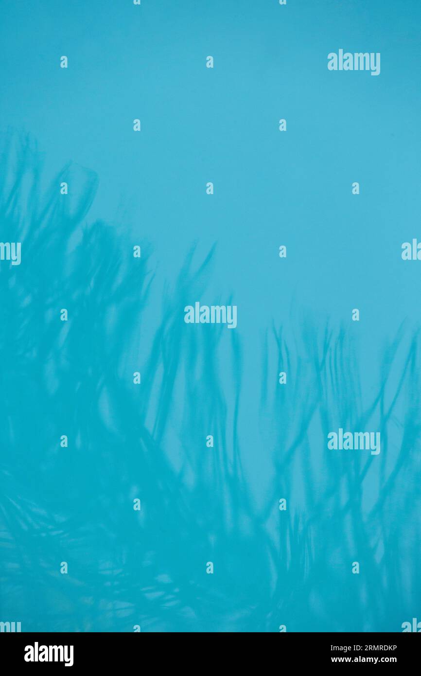 Palm desktop hi-res stock photography and images - Alamy