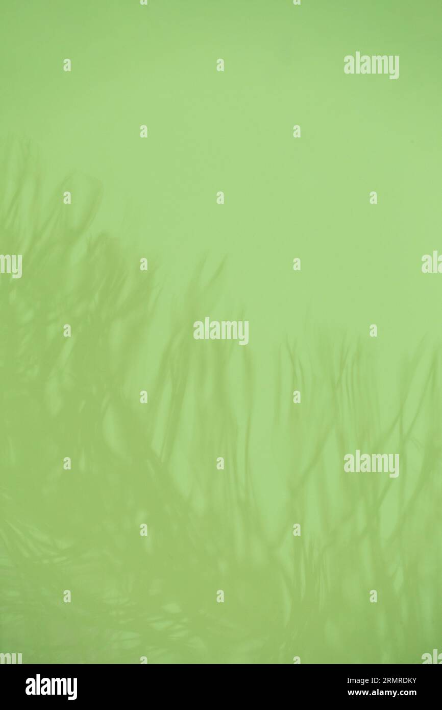 Palm desktop hi-res stock photography and images - Alamy