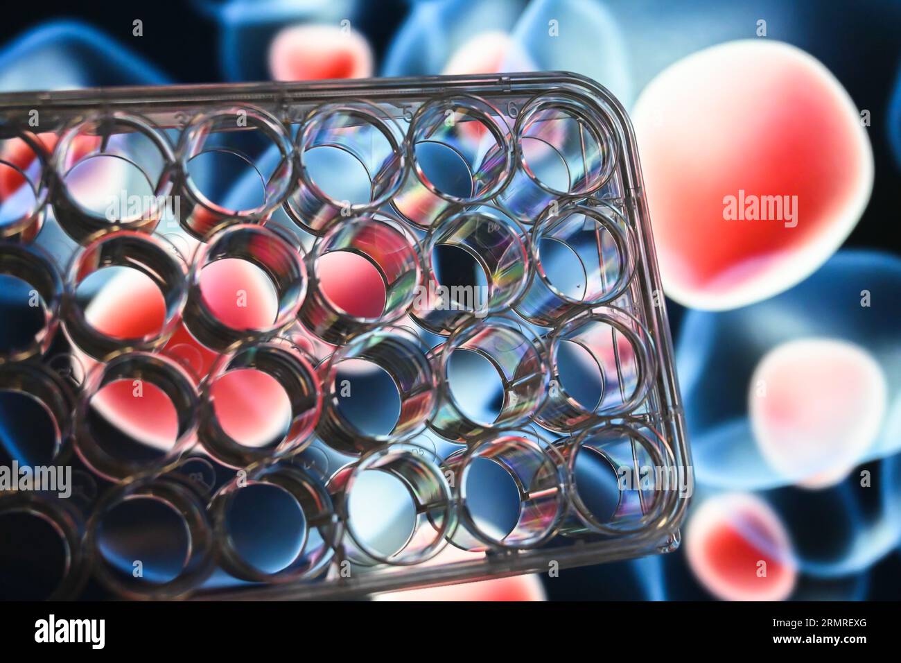 Abstract background. Scientific biological research. Cultural tablet ...