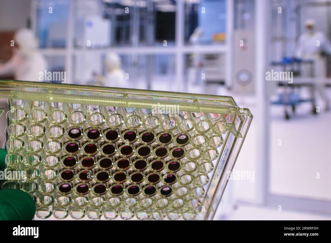 Abstract background. Scientific biological research. Cultural tablet ...