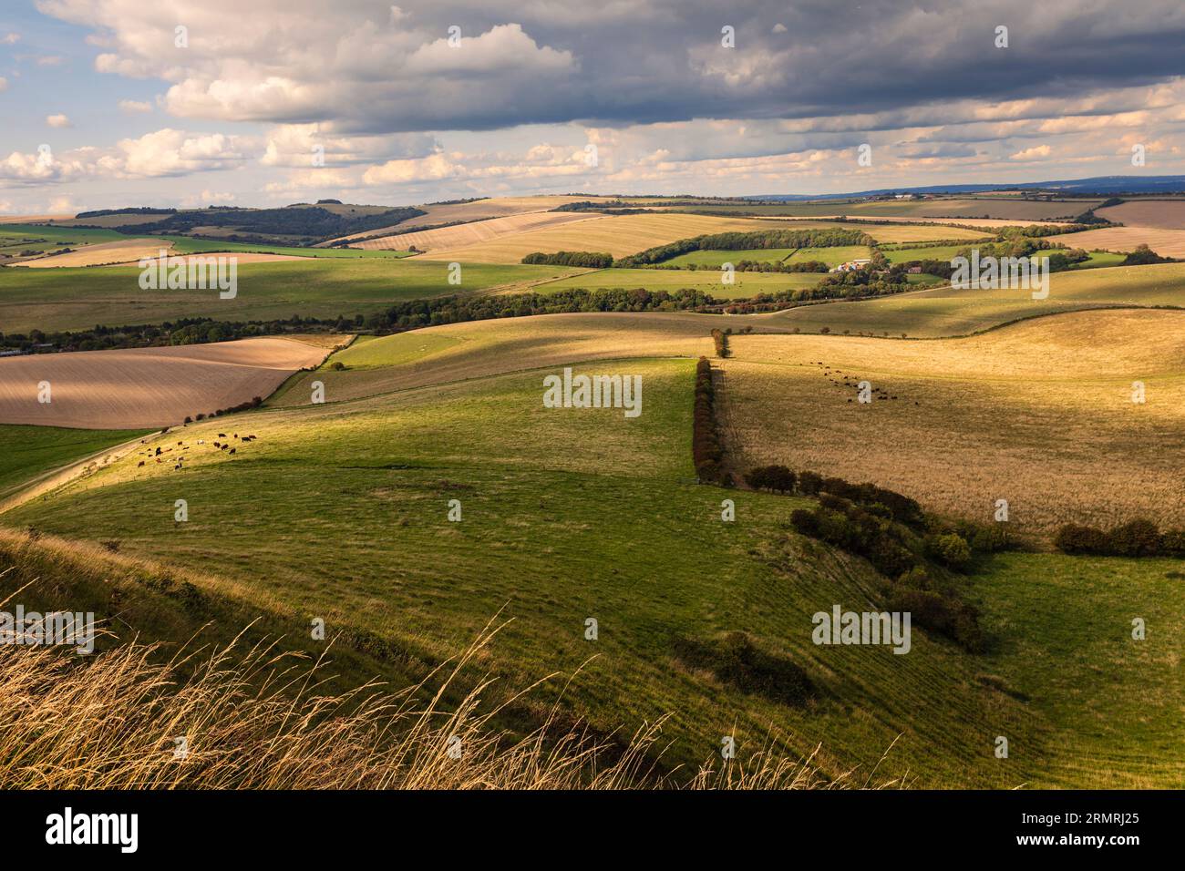 The wonderful views over the east Sussex countryside and the south ...