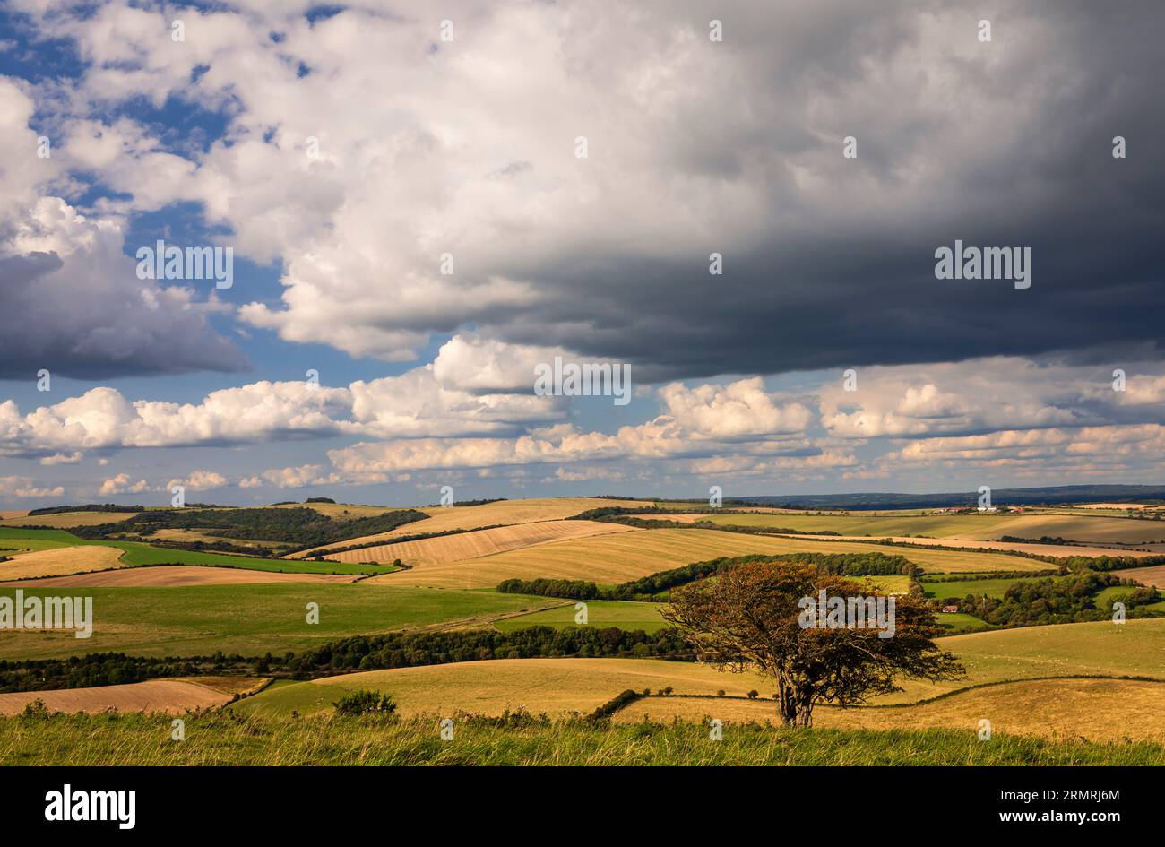 The wonderful views over the east Sussex countryside and the south ...