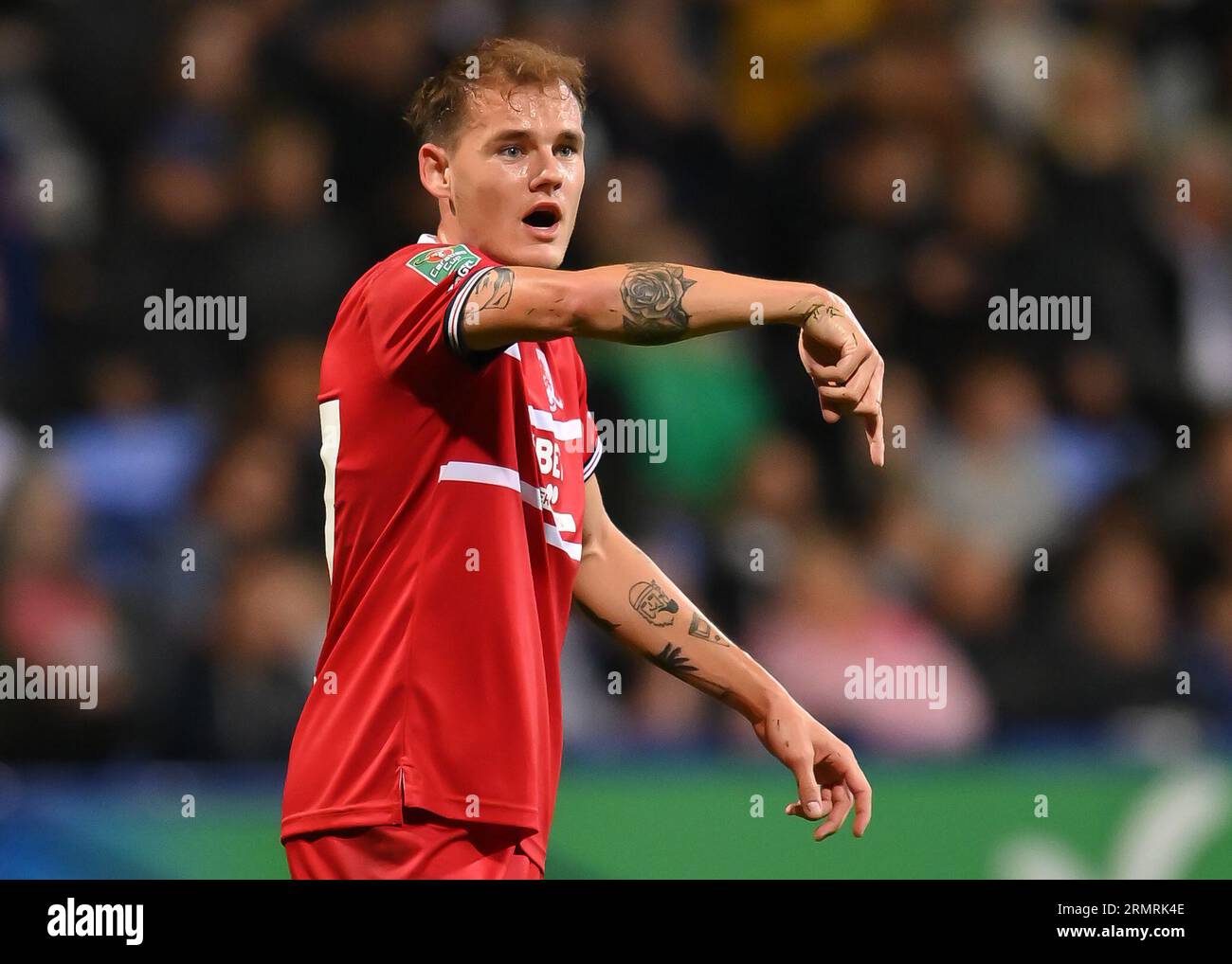 Lukas engel hi-res stock photography and images - Alamy