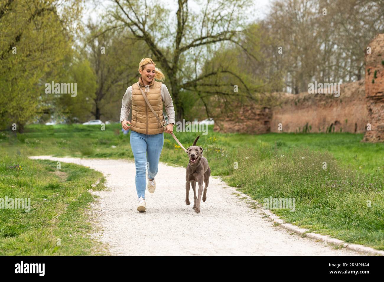 Canine activities hi-res stock photography and images - Alamy