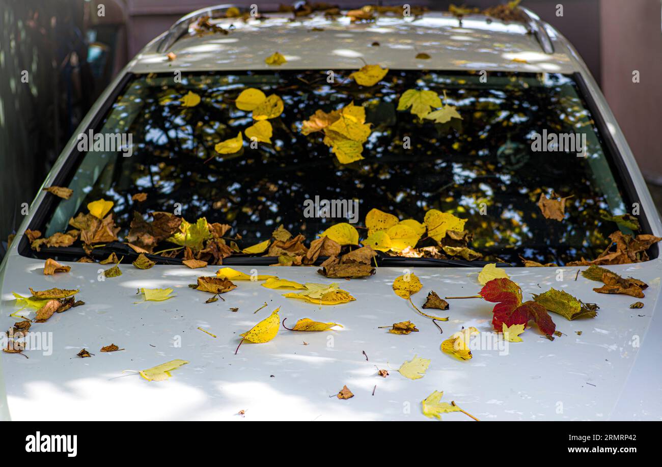 Season in ukraine hi-res stock photography and images - Alamy