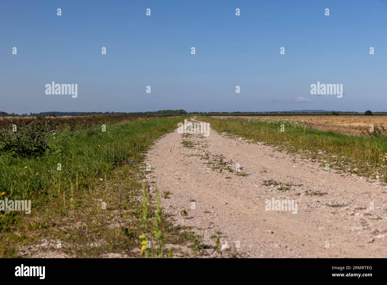 Empty field in rural areas hi-res stock photography and images - Alamy