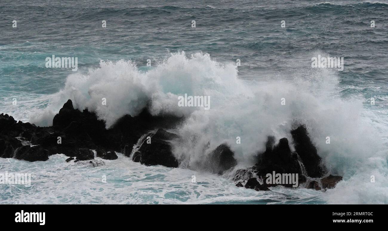 Wave crash into rock coastline, Atlantic Ocean, Porto Moniz, Madeira ...