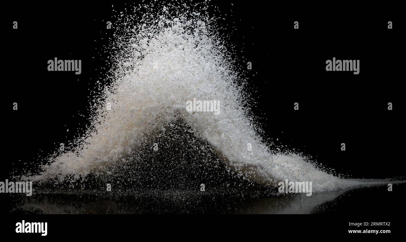 Coconut, cocos nucifera, Powder falling against Black Background Stock ...