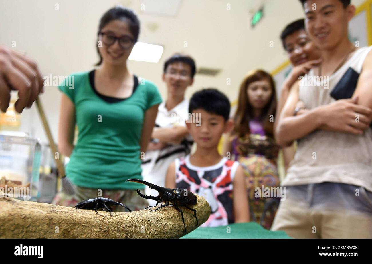 Wfchina liaoing beetle hi-res stock photography and images - Alamy