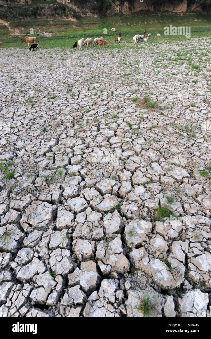 Securewate hi-res stock photography and images - Alamy