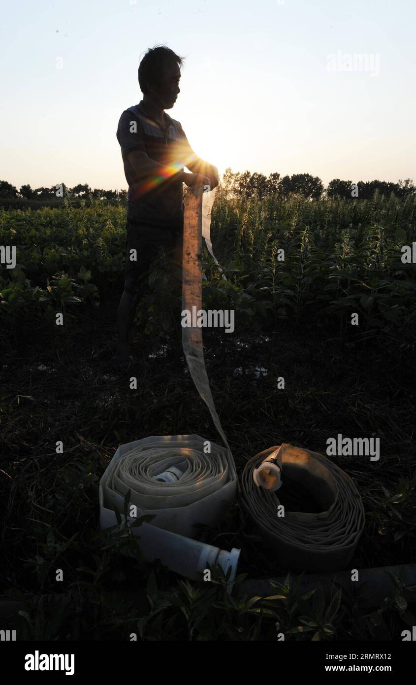 Farmer uses water pump pump hi-res stock photography and images - Alamy