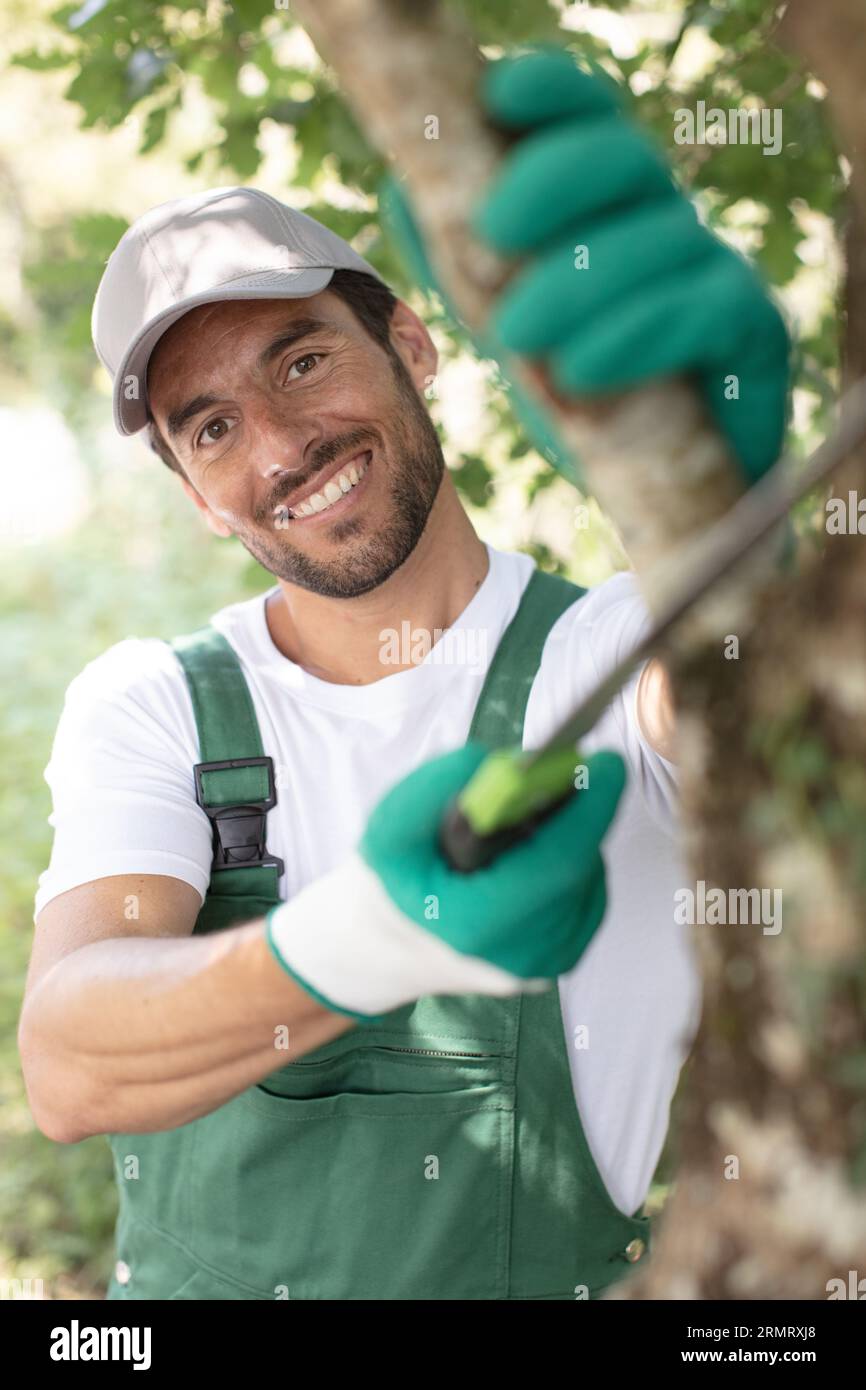 man cutting branches of tree using the saw Stock Photo - Alamy