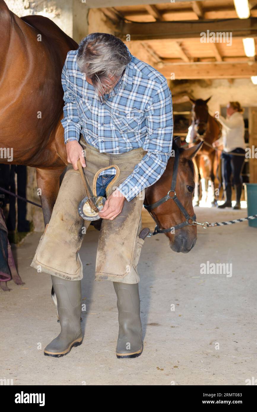 a man putting a hoof Stock Photo - Alamy