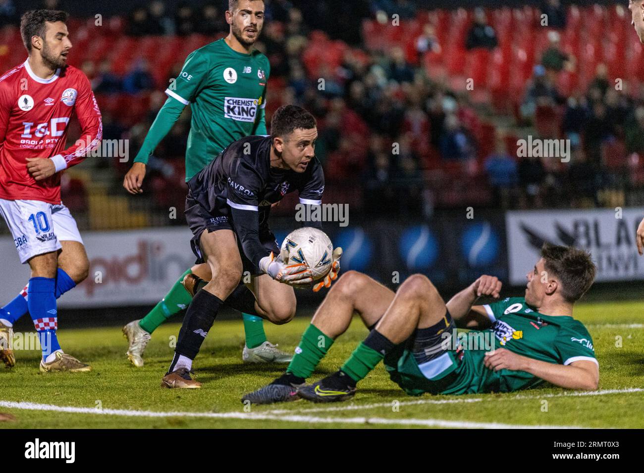 Sunshine North, Australia. 29 August, 2023. Campbelltown City SC ...