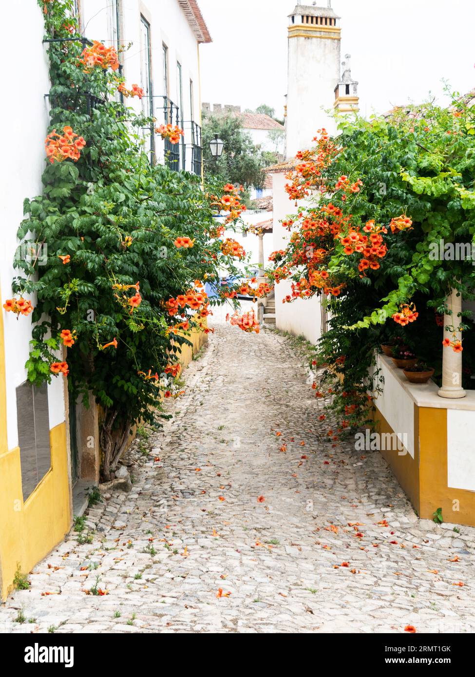 Traditional white stone houses with tiled roofs and various flowering ...