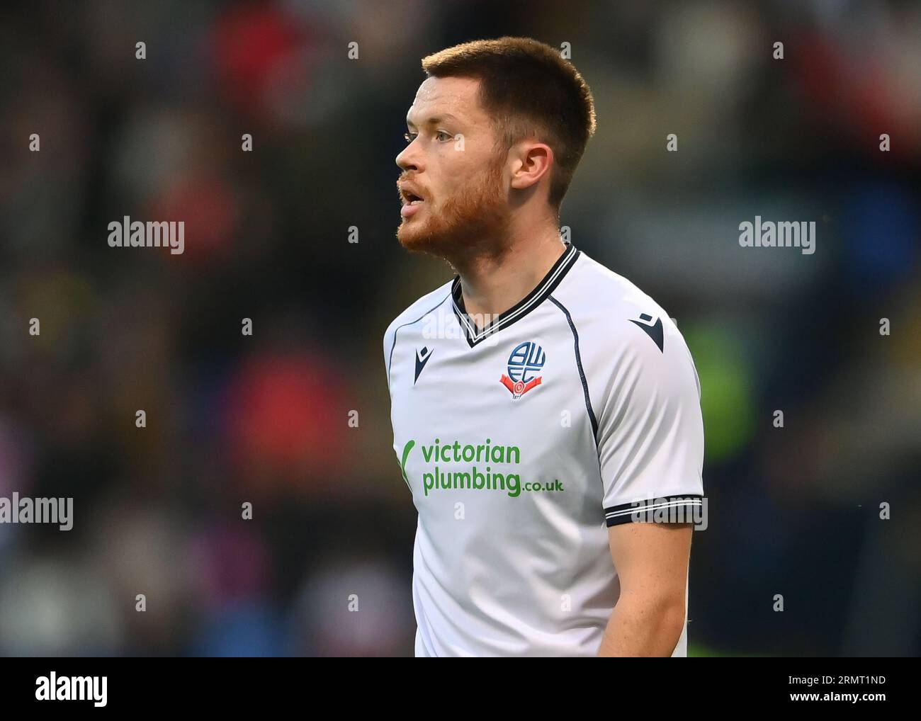 Will forrester hi-res stock photography and images - Alamy