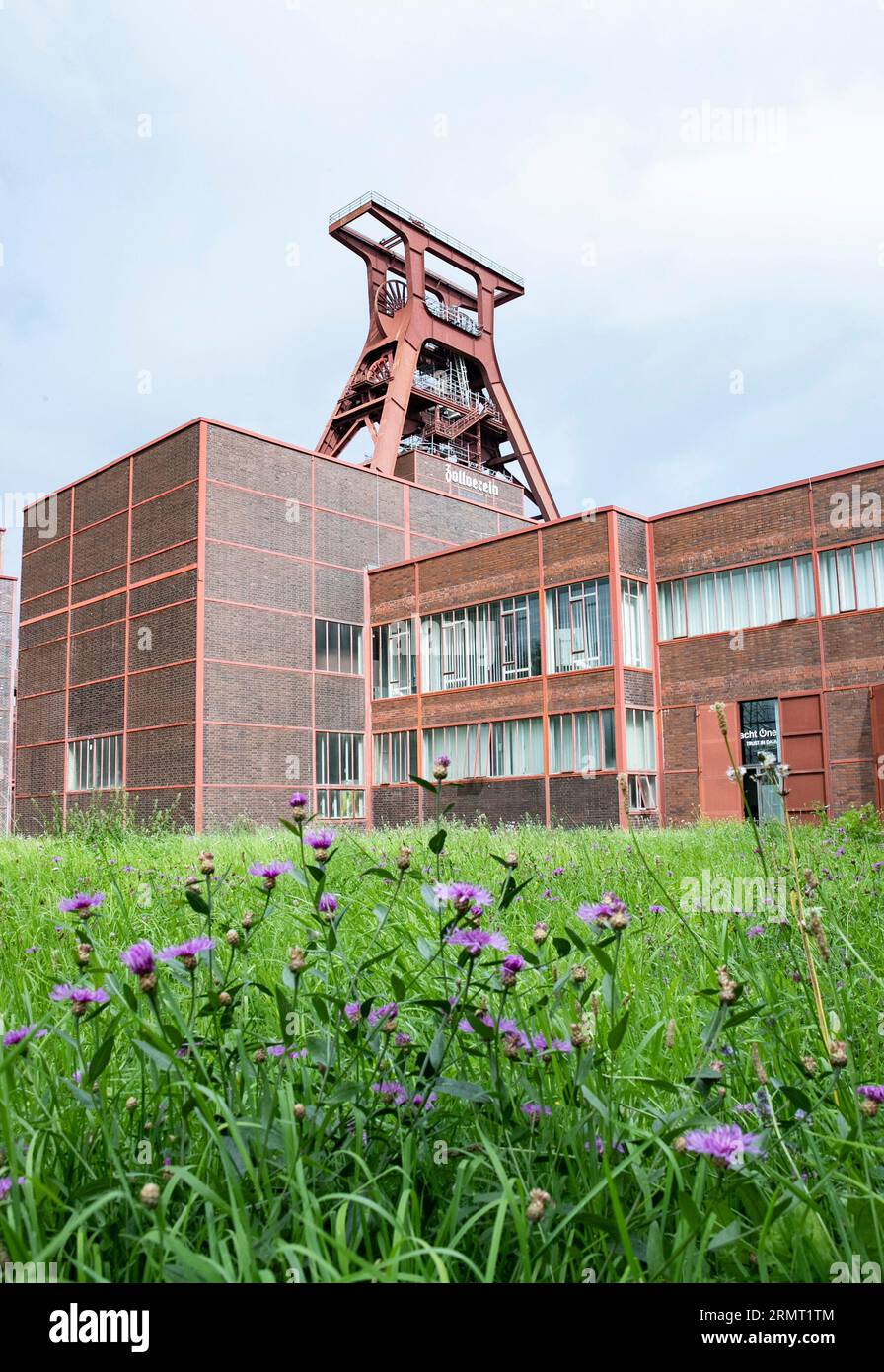(230830) -- FRANKFURT, Aug. 30, 2023 (Xinhua) -- This photo taken on Aug. 16, 2023 shows a view ...