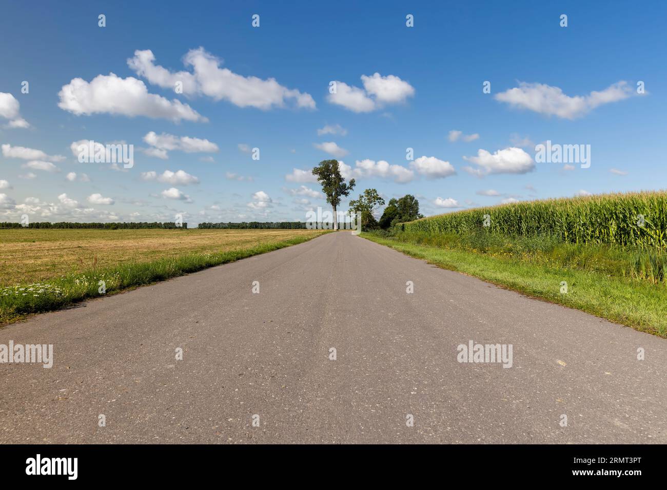 Paved highway in rural areas, part of a simple road in rural areas with ...
