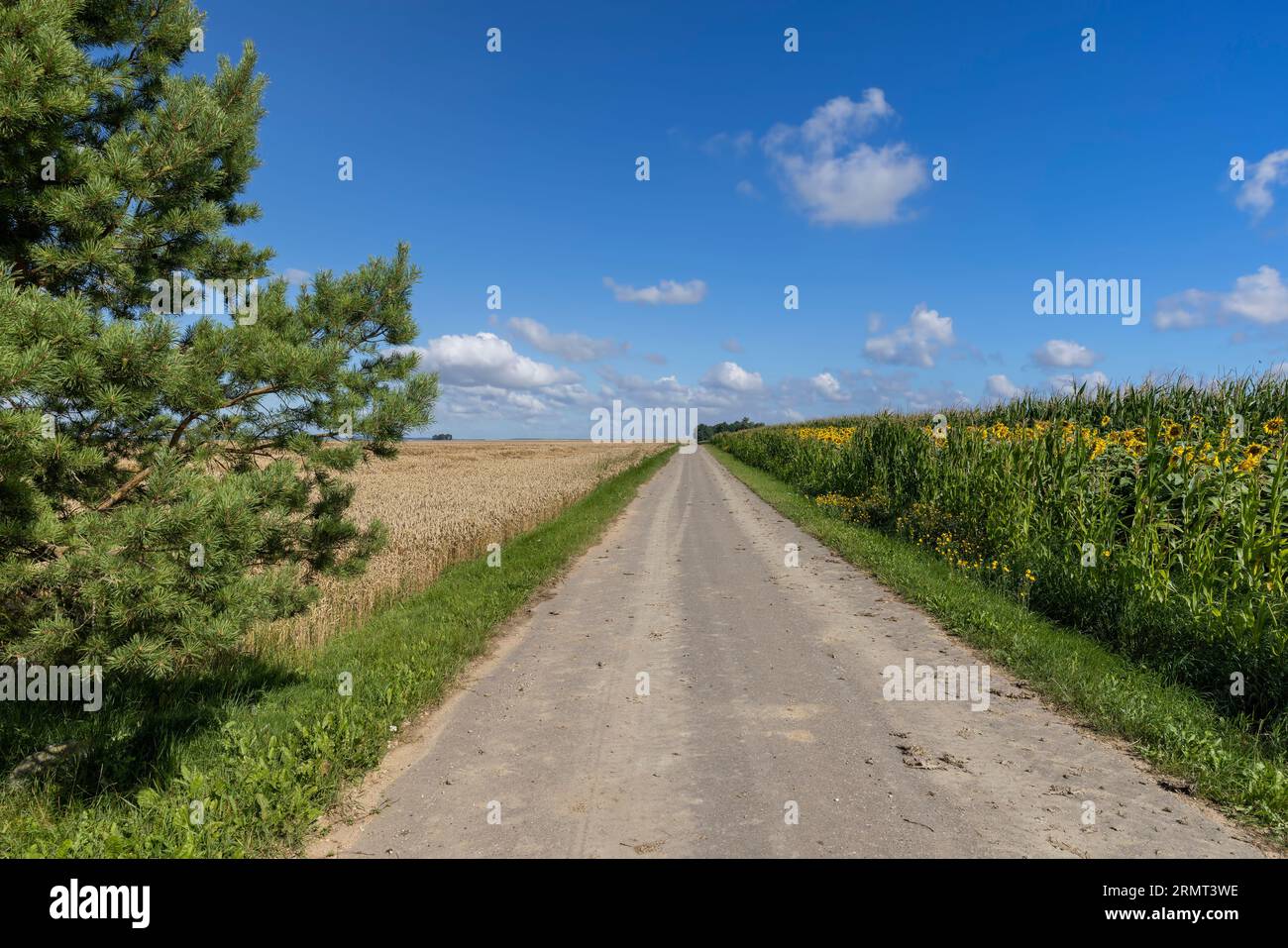 Empty field in rural areas hi-res stock photography and images - Alamy