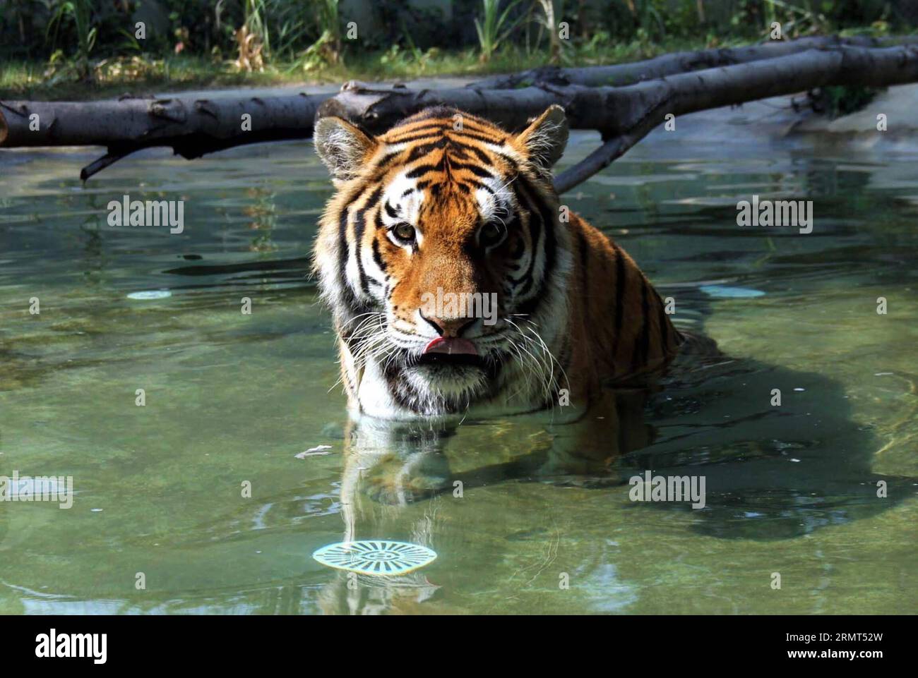 15 degrees heat hi-res stock photography and images - Alamy