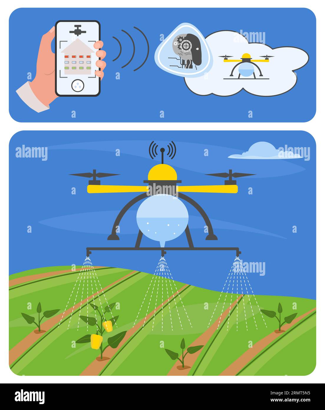 Person controls agricultural drone fly to spray fertilizer water or ...