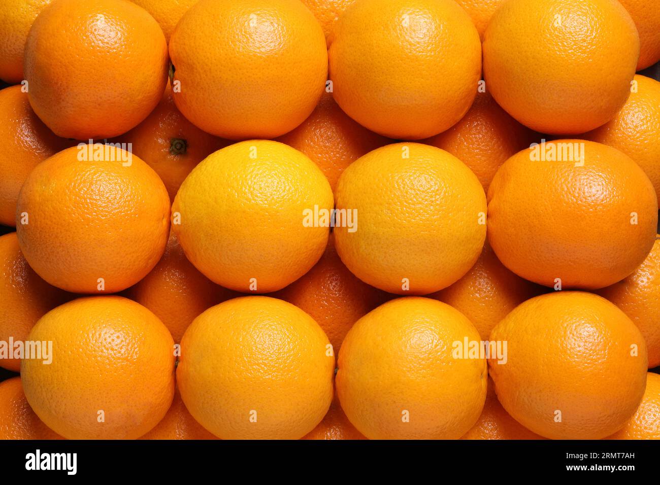 Oranges in Rows, Arranged – Background or Pattern of Oranges Ordered in ...