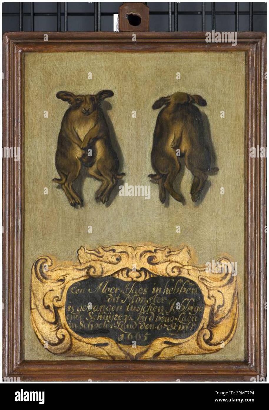 Borst hi-res stock photography and images - Alamy