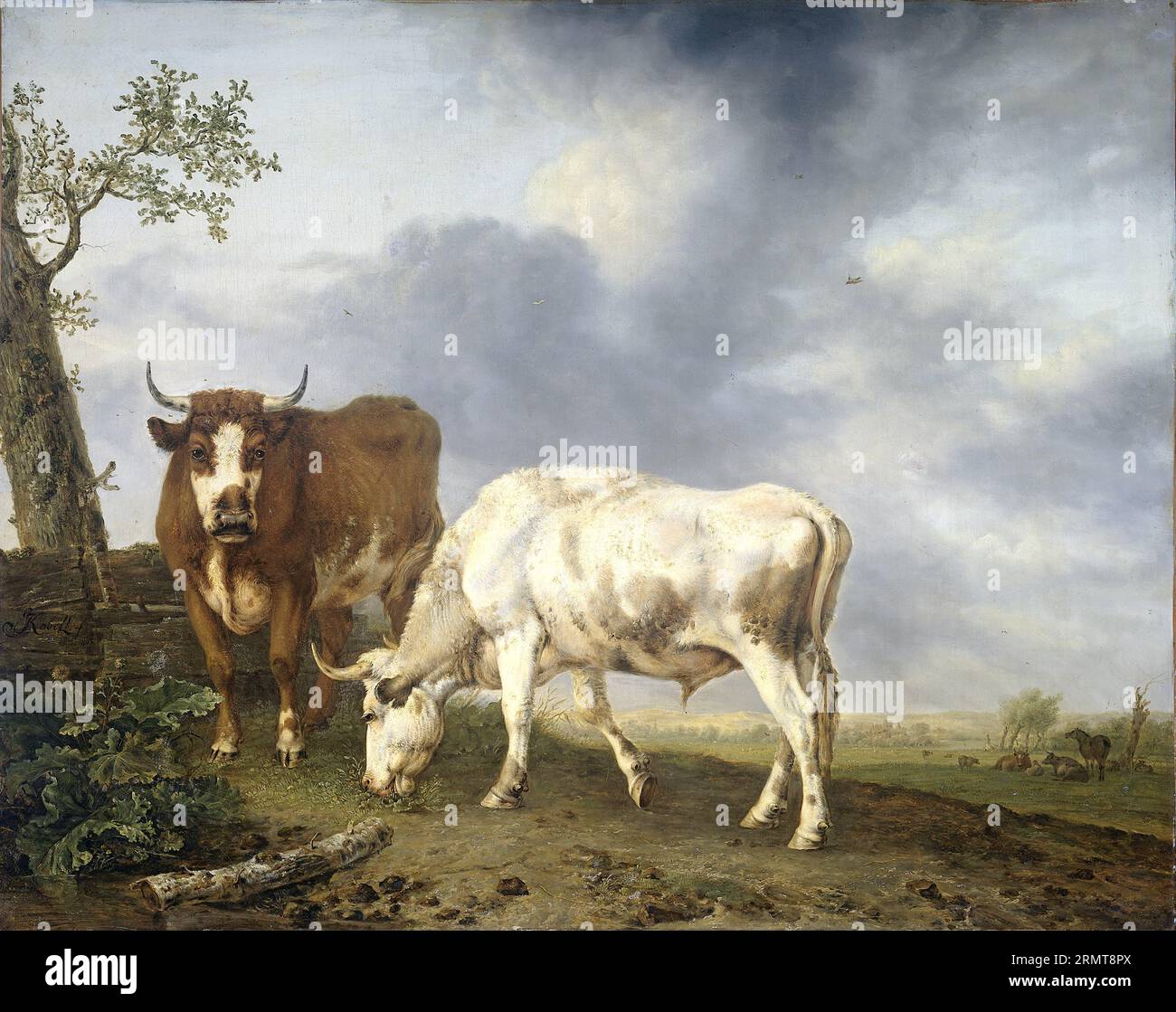Oxen in the Meadow 1806 by Jan Kobell II Stock Photo - Alamy
