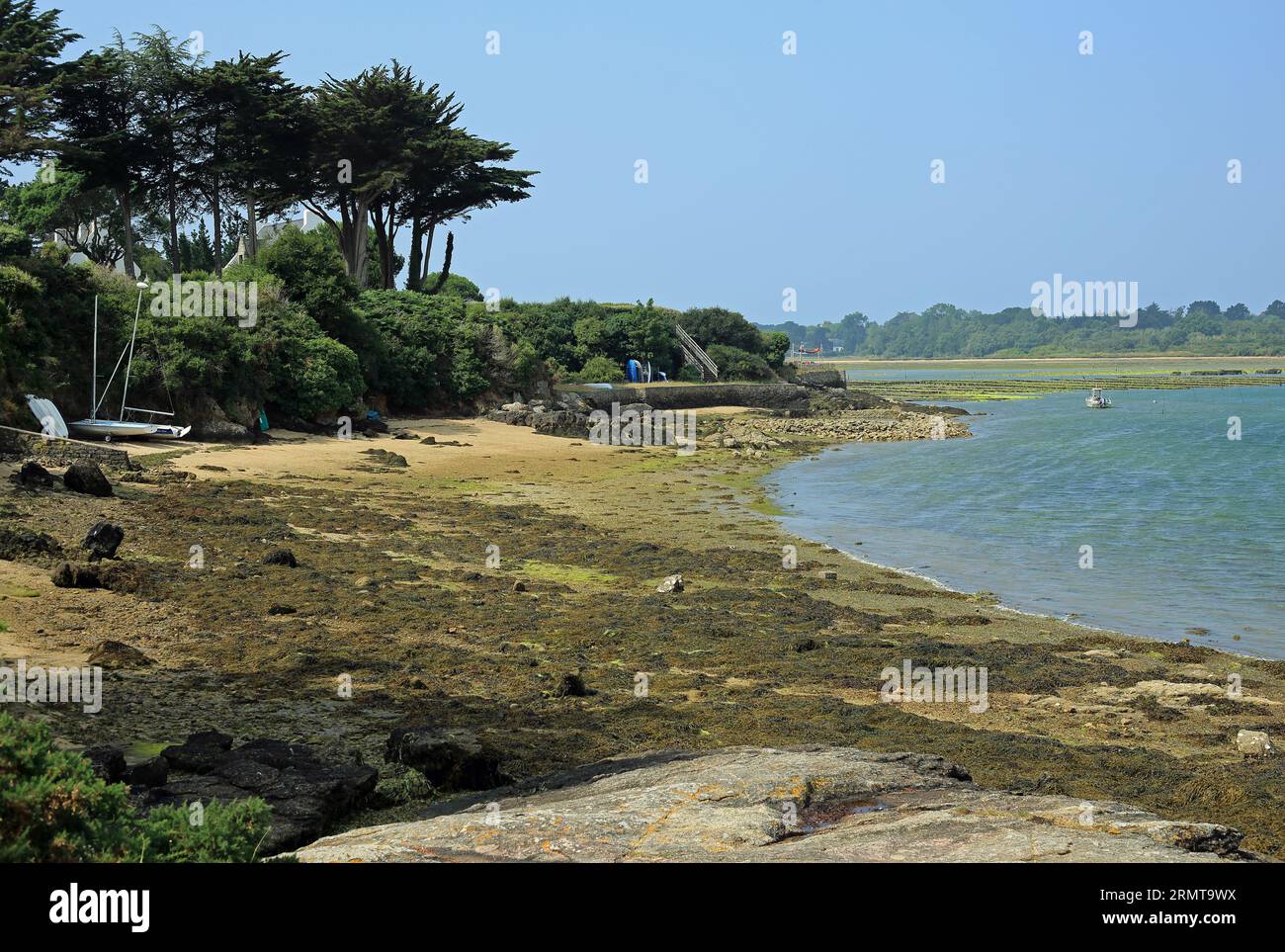 Beach at low tide on Pointe du Logeo, Le Logeo, Sarzeau, Morbihan ...