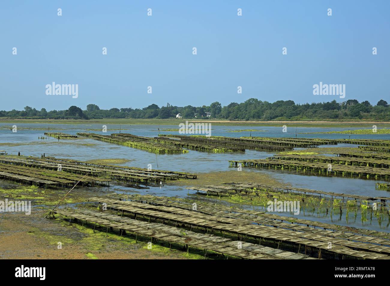 View across oyster beds at Le Poul from Pointe du Logeo, Le Logeo ...