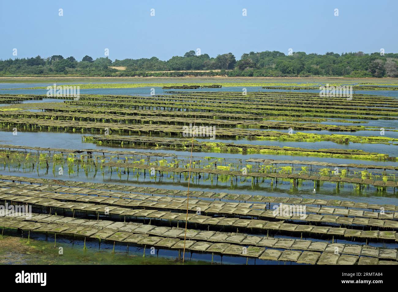 View across oyster beds at Le Poul from Pointe du Logeo, Le Logeo ...