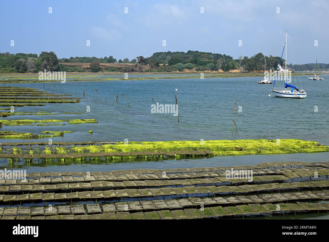 View across oyster beds at Le Poul from Pointe du Logeo, Le Logeo ...