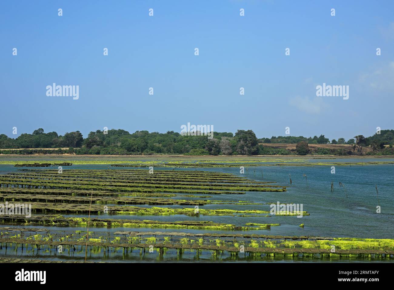 View across oyster beds at Le Poul from Pointe du Logeo, Le Logeo ...
