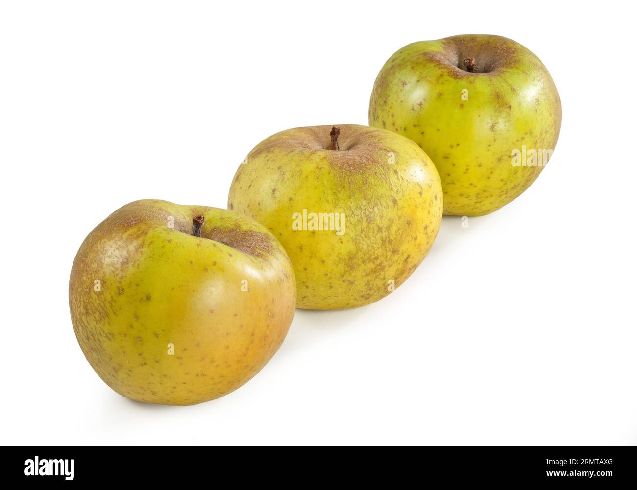 Renetta apple hi-res stock photography and images - Alamy