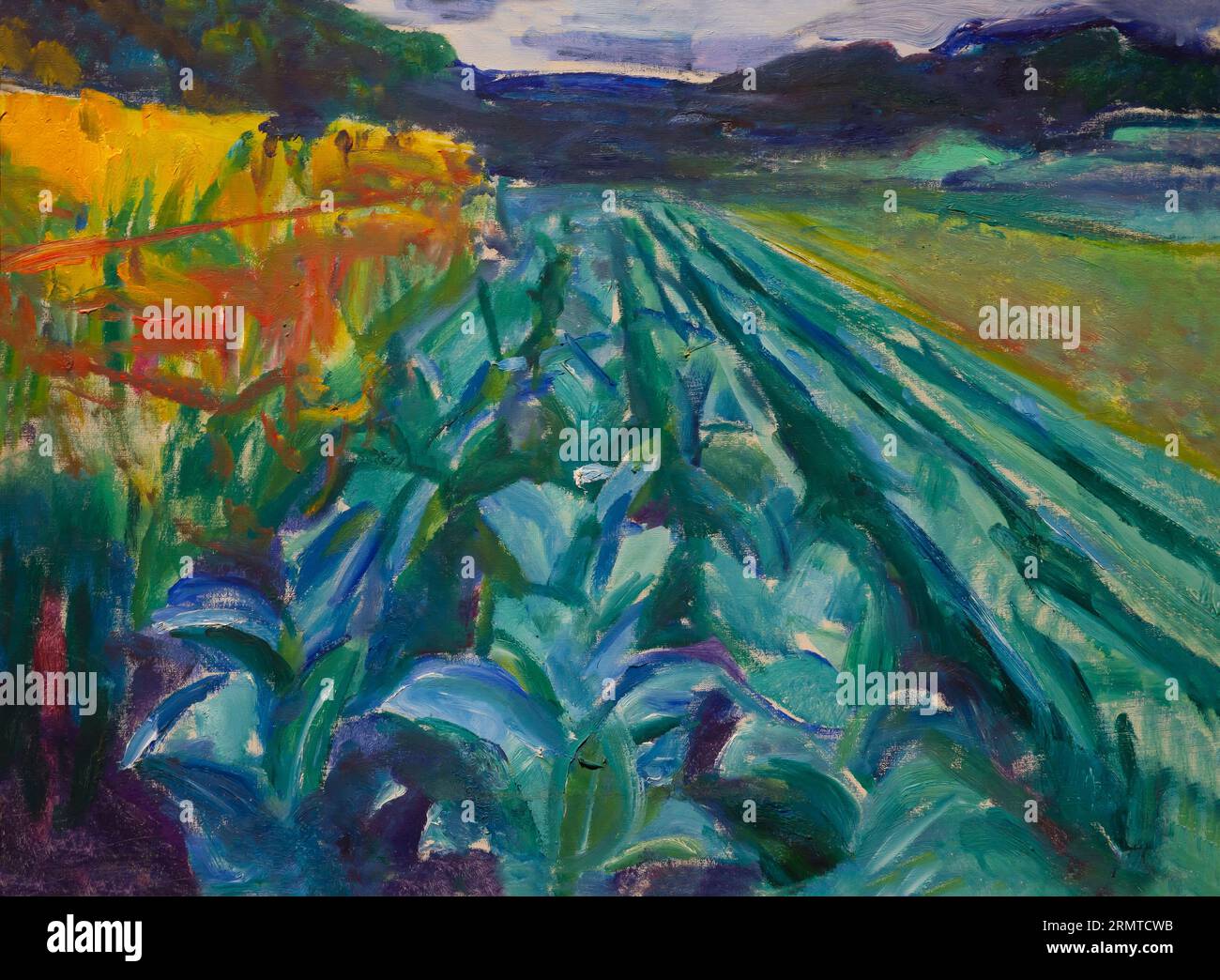 Cabbage Field, Edvard Munch, 1915, Munch Museet, Oslo, Norway Stock ...
