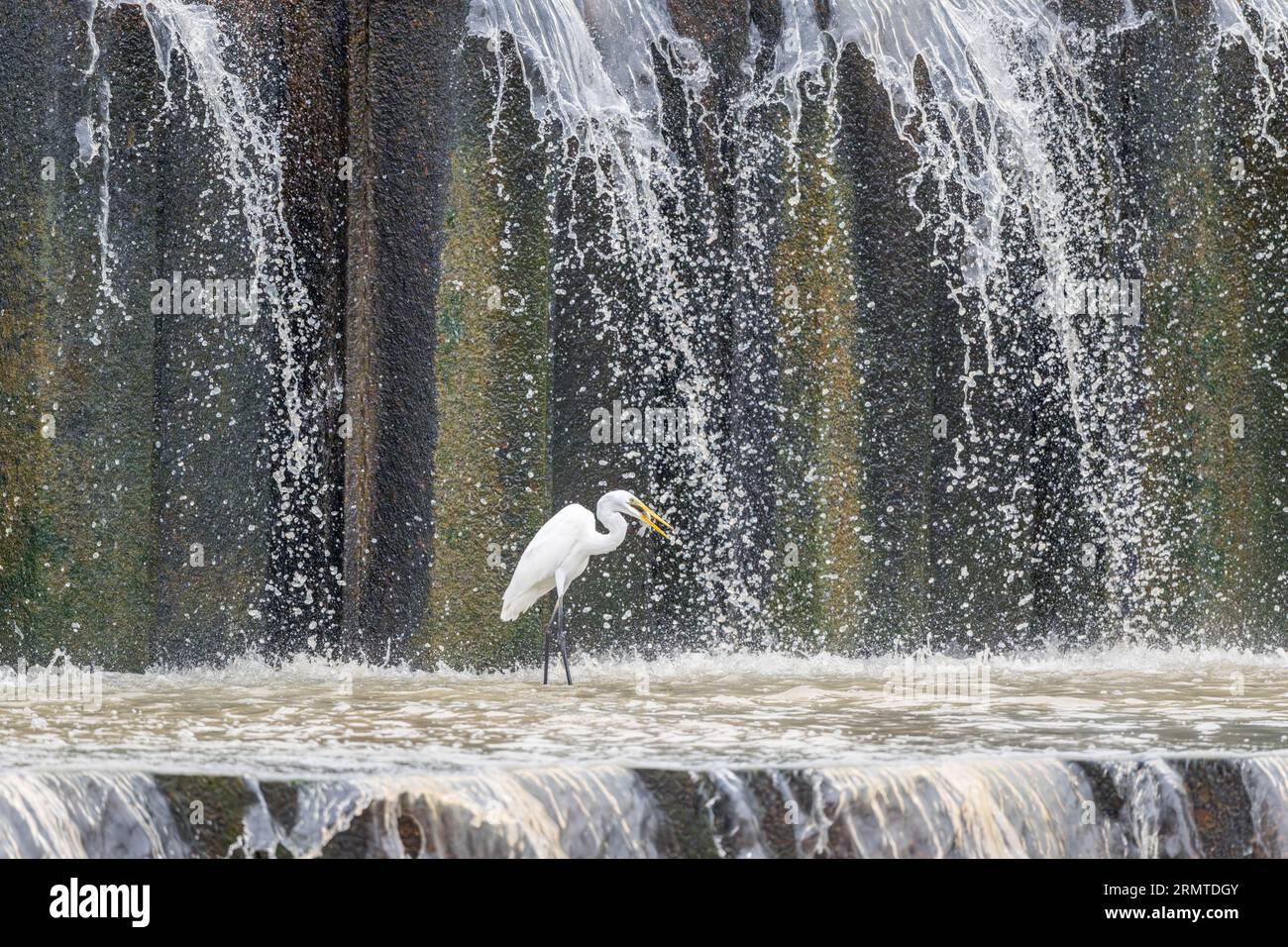 Wades water people hi-res stock photography and images - Alamy
